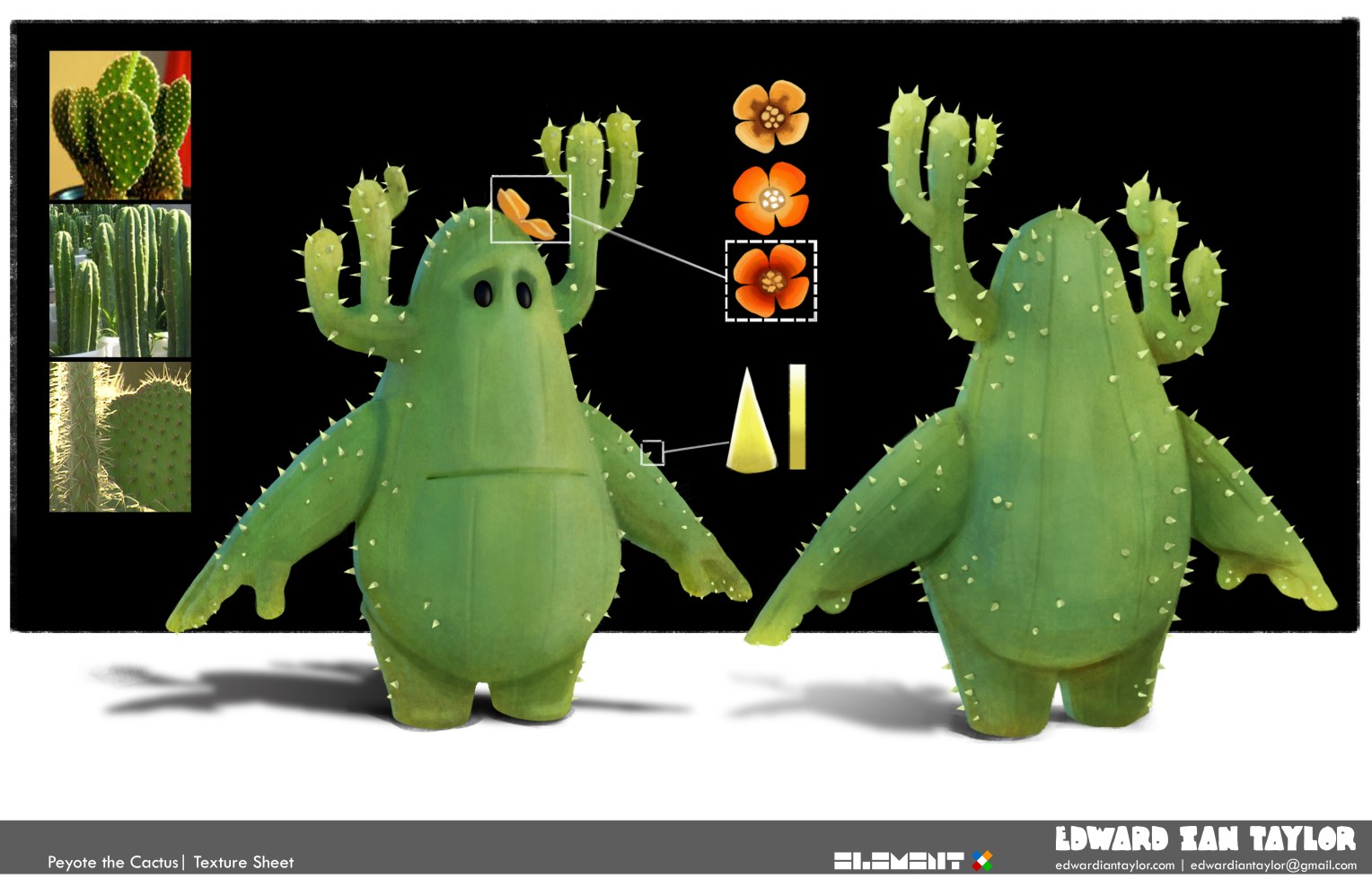 Portfolio – Edwardian Taylor